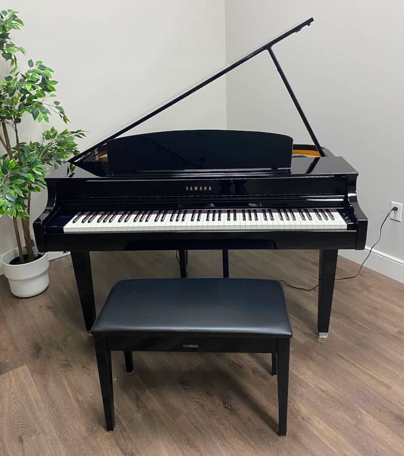 Red Tag Specials - Doctor Piano